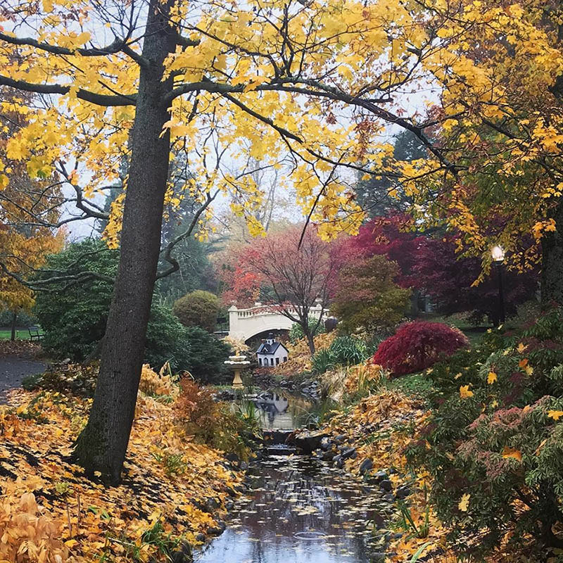 Beautiful Halifax views you should experience - Halifax News